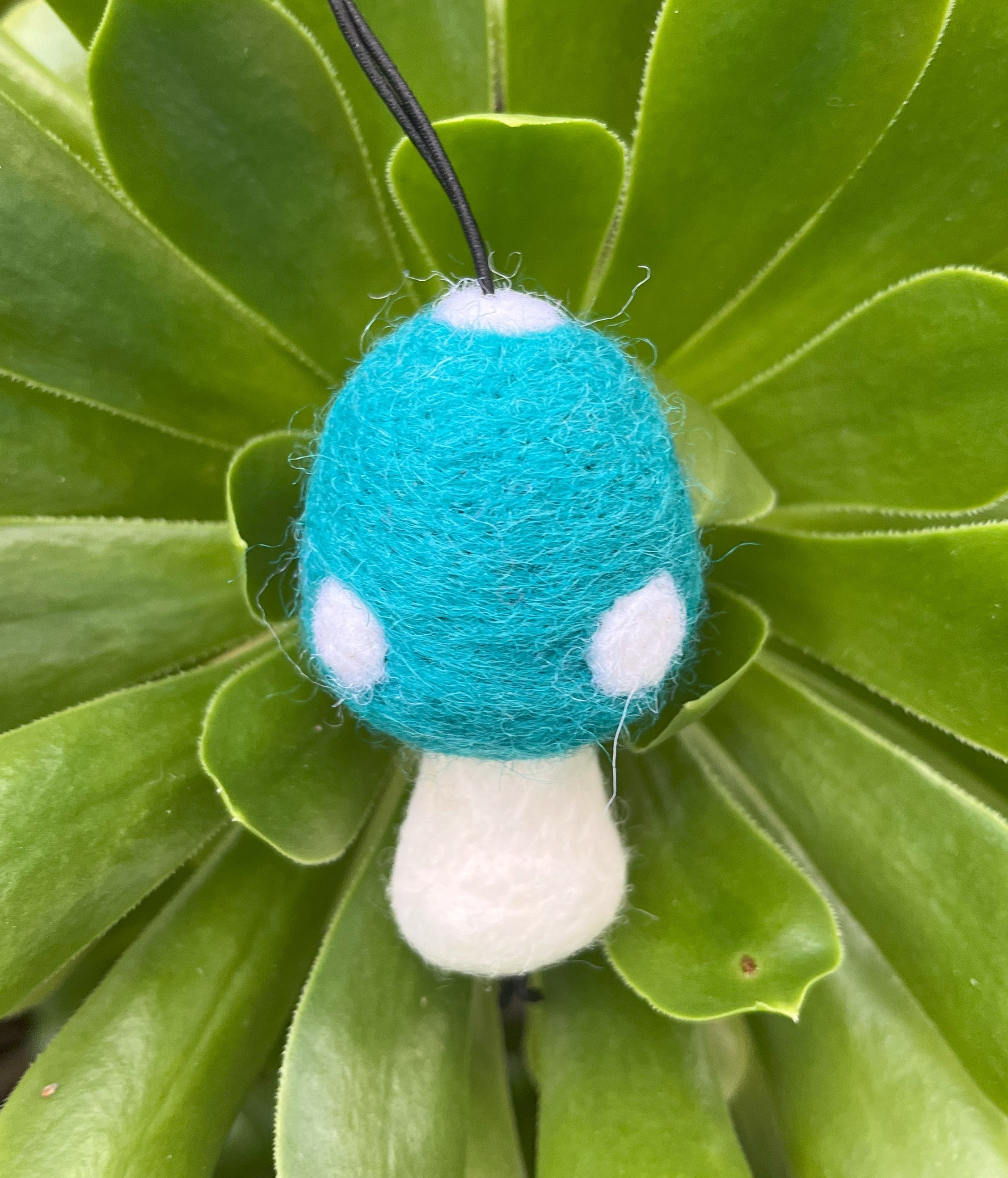 MushieZ -Teal – FRESH BallZ